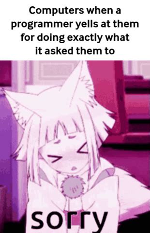 Best R Programmeranimemes Images On Pholder I Love My Past Self