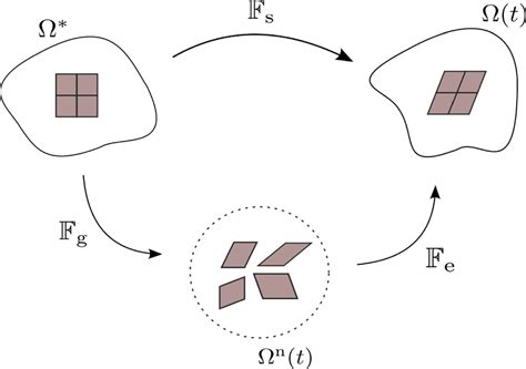 Schematics Of The Multiplicative Decomposition Of The Deformation