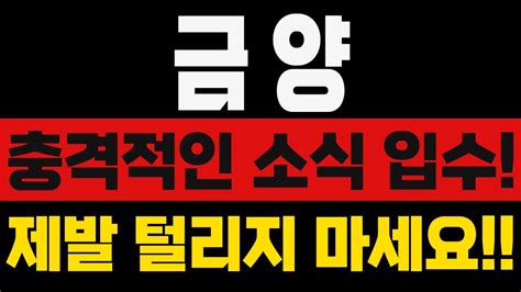 금양 주가전망 🚨필수시청🚨 충격적인 소식 입수 🔥🔥 제발 털리지 마세요 Youtube