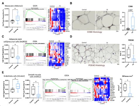 In Silico Analysis Together With Histology Reveals Differential Cell Download Scientific