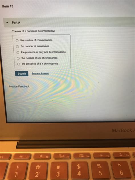 solved item 13 part a the sex of a human is determined by