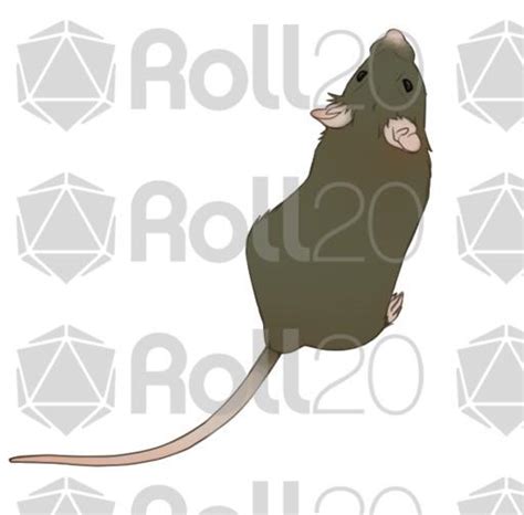 Rat Token Pack 1 Roll20 Marketplace Digital Goods For Online Tabletop Gaming