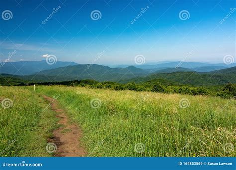 Path At Max Patch Stock Image Image Of Meadow Path 164853569