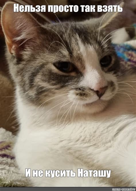 Meme Нельзя просто так взять И не кусить Наташу All Templates Meme