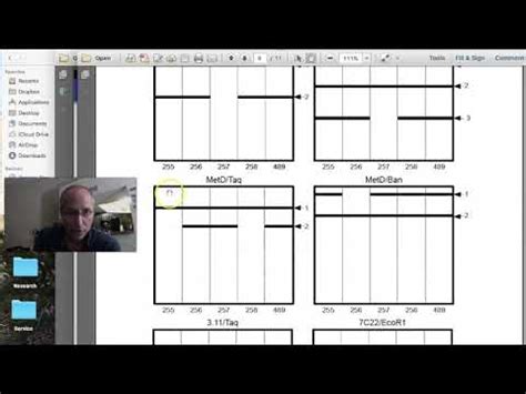 RFLPs Explanation YouTube