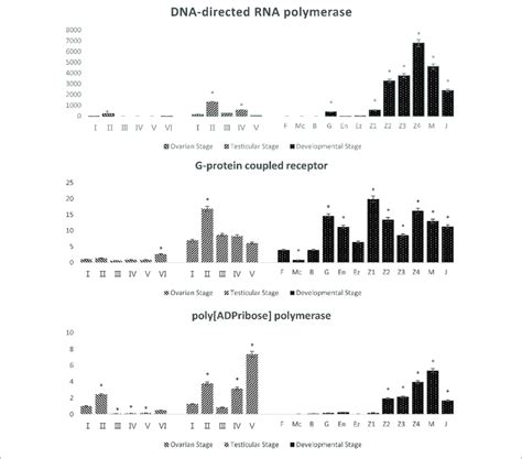Quantitative Real Time PCR QPCR Analysis Of Potential Sex Related Download Scientific