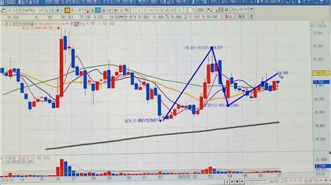 포스코dx 포스코인터내셔널 포스코엠텍 포스코스틸리온 챠트분석 7월 13일 Youtube