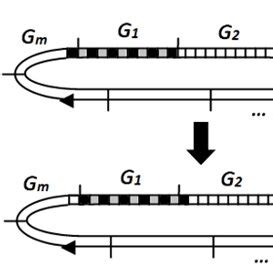 Circular shift operator í µí í µ 1 Download Scientific Diagram