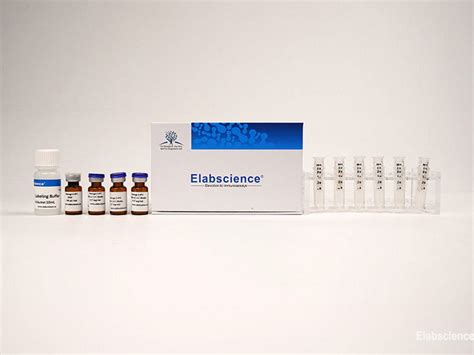 Water Soluble Biotin Labeling Kit 50 Kd Filtration Tube Elabscience Biotechnology