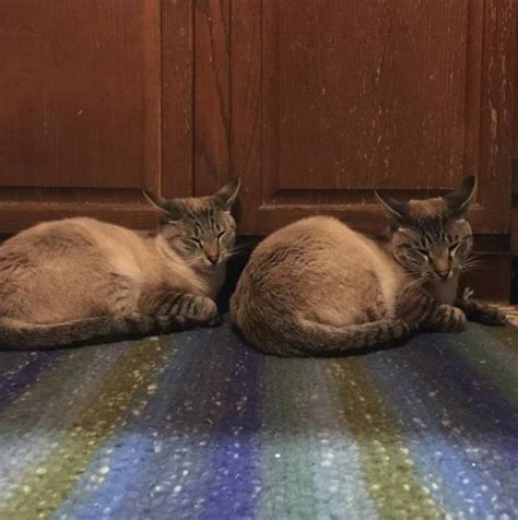 Glitches Happen Every Day And Everywhere 19 Pics