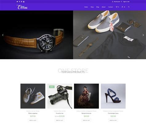 15 Best Woocommerce Themes For Your Online Store [2022] Elementor