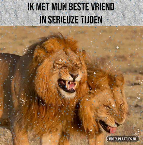 Gifplaatje Ik Met Mijn Vriend Plaatjes Delen Met Whatsapp Of Social Media