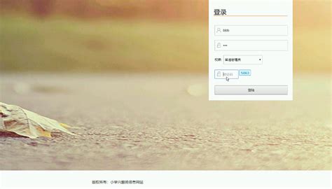 php小学兴趣班信息网站ha6b6 计算机毕业设计 2599毕设网 计算机专业毕业设计 毕设源码 免费毕业生设计 免费毕设 毕业设计成品 毕设