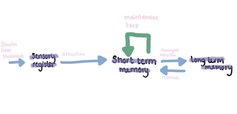 memory flashcards quizlet