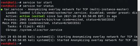 how to configure proxychains in kalilinux via terminal cristian thous