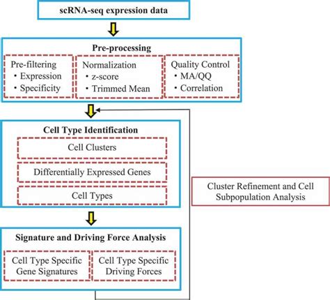 Single Cell Rna Seq Clustering Datasets Models And Algorithms Pmc