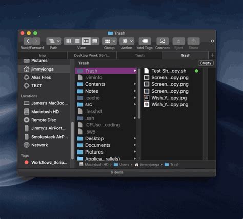Mac Sierra Force Empty Trash Terminal Denishead