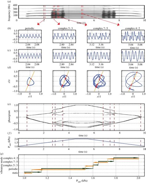 Simulation Of Vocal Fold Vibration With A Simplified Two Mass Model Download Scientific Diagram