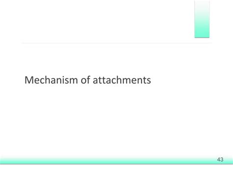 Attachments In Removable Partial Prosthesis Pptx