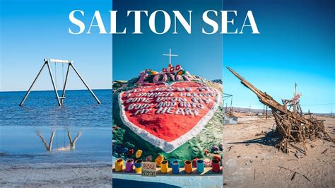 Does Anything Live In The Salton Sea At Grady Naylor Blog