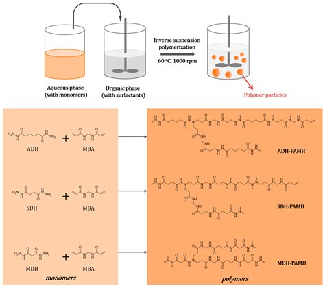 Gels Free Full Text Poly Amidehydrazide Hydrogel Particles For