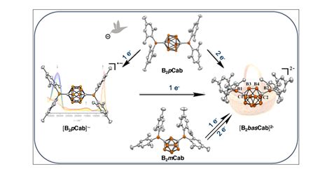 Full Electron Delocalization Across The Cluster In 112 Bisbmes2 P Carborane Radical Anion