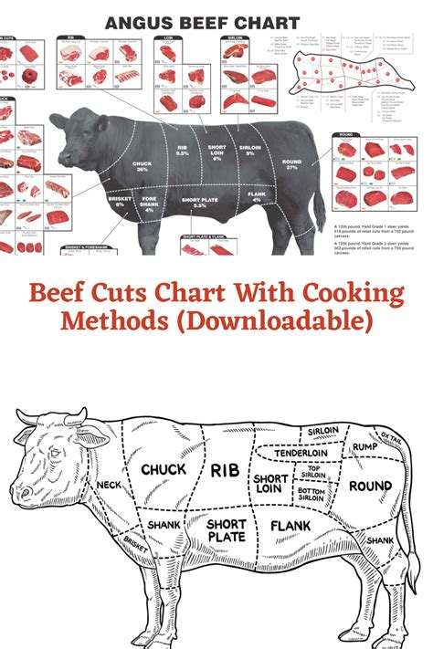 Best 13 Beef Cuts Chart With Cooking Methods Downloadable Smashing