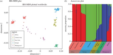 Malagasy Population Structure A Multidimensional Scaling Analysis Of Download Scientific