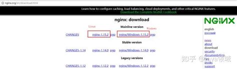 Nginx Windows详细安装部署教程 知乎