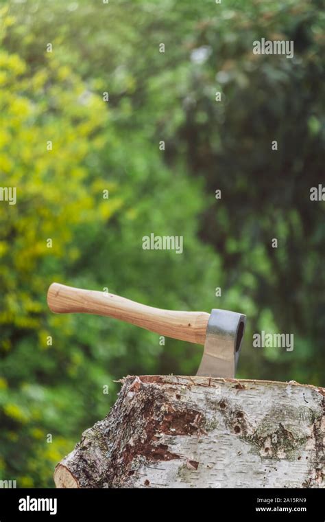 Axe In A Tree Trunk Stock Photo Alamy