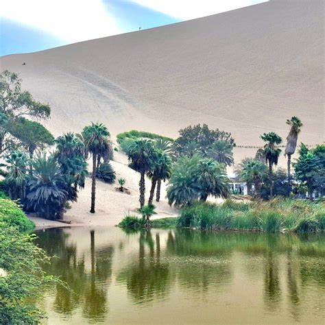 Oasis Huacachina Lohnt Es Sich Aktuell Für 2026 Mit Fotos