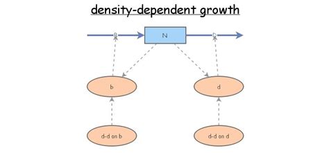 Density Dependent Growth Insight Maker