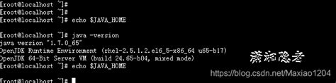 linux系统查看java安装路径 which java csdn博客
