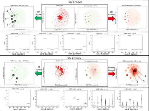 Visualization And Quantification Of Lymphocytes Surrounding A 10 Nn