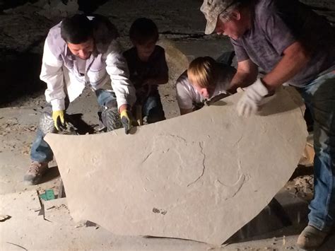 split limestone to find fossils 4 steps with pictures instructables