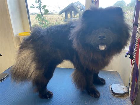 Class Cutz Southminster