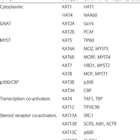 Histone Acetyltransferases Families Subtypes And Alternative Download Table