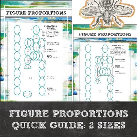 Drawing Classroom Posters Middle And High School Figure Proportions Guide