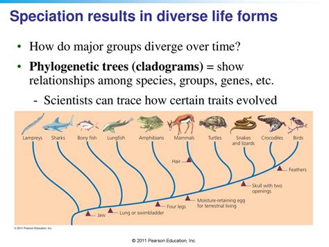 Environment The Science Behind The Stories Ppt Download