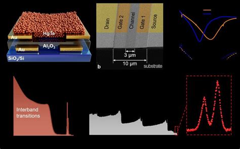 Nc Based Field Effect Transistor A Scheme Of The Planar Dual Gated