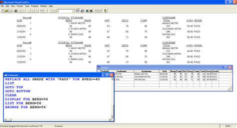 Microsoft Visual Foxpro 60 Database Table Samasto