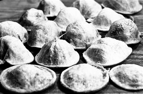 Poem Dysphoria Overland Literary Journal