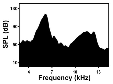Oscillogram A Spectrogram B And Power Spectrum C Of The One