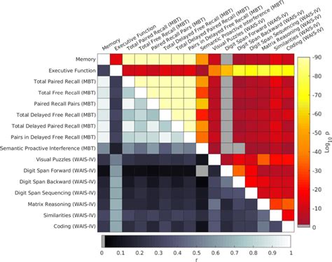 Cross Correlation Matrix Between Pairs Of The Cognitive Measures Download Scientific Diagram