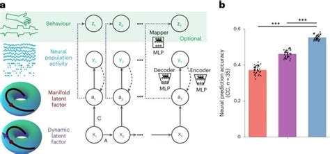 New Ai Algorithm Enables Advanced Real Time Decoding For Neurotechnologies
