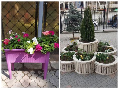 მოძღვრისა და მისი მეუღლის საყვარელი ყვავილები და ვაკის სამების ეზოში მოწყობილი ბაღი