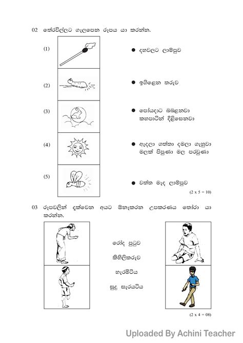 1 ශ්‍රේණිය පරිසරය අචිනි ටීචර් Achini Teacher Facebook