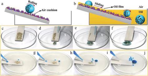 A B Schematic Illustrations And Photographs Of The Self‐cleaning