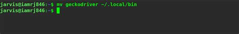 An Introduction To Selenium With Python