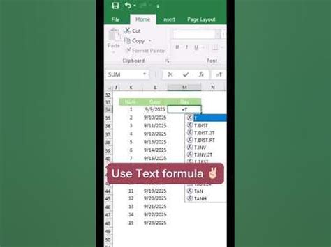 How to use Text Formula ازاي نستخدم داله Text في تنسيق التاريخ واليوم ...